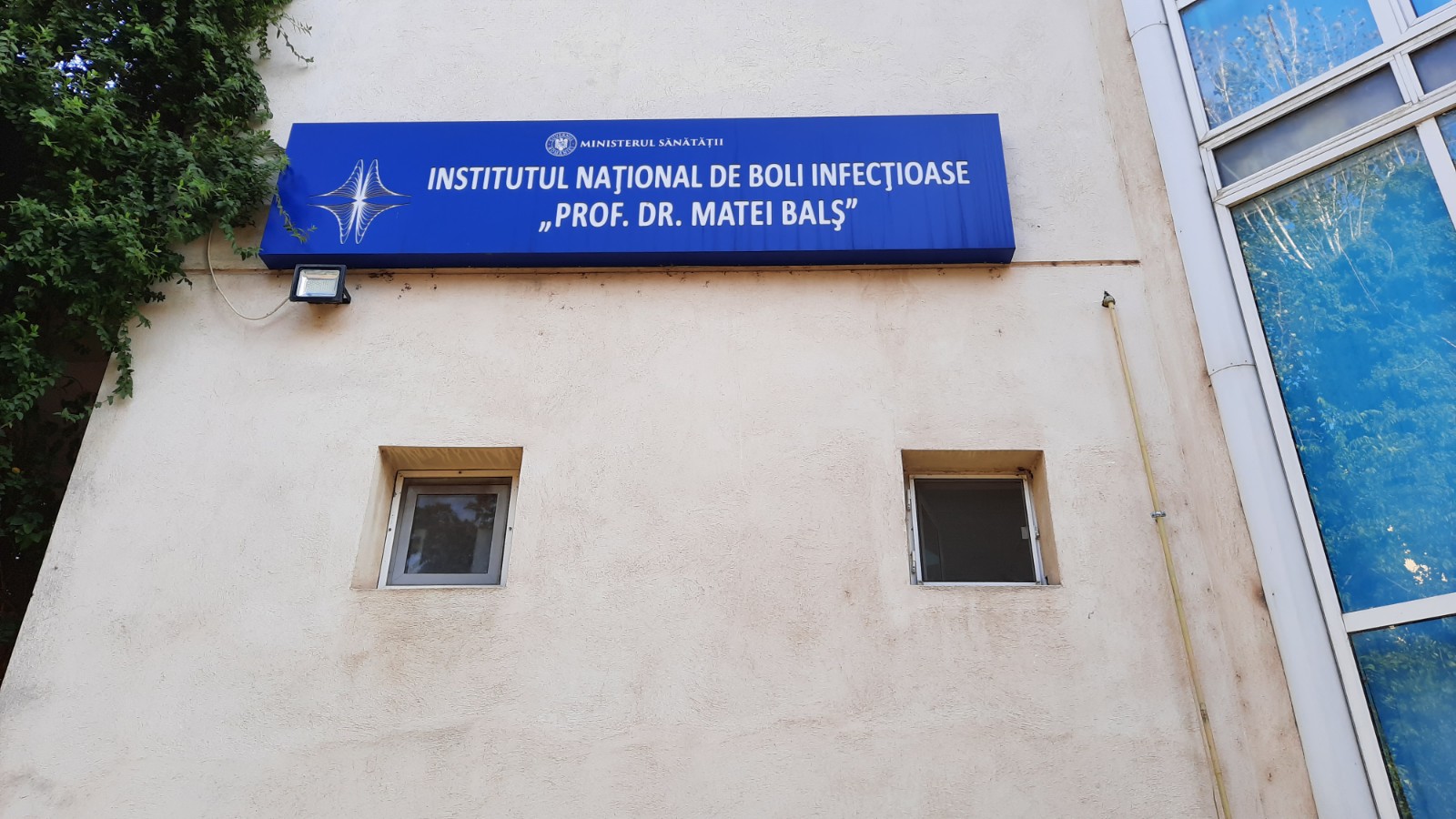 Mihaela Anghel, prima asistentă vaccinată anti-Covid, din România ...